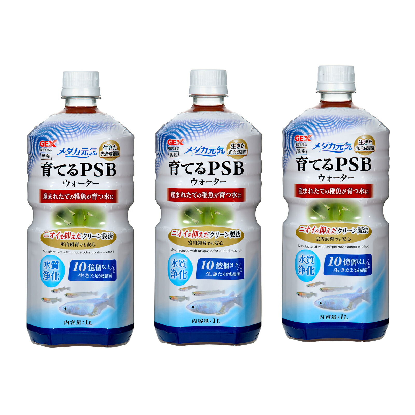 【楽天市場】GEX メダカ元気 育てるPSBウォーター 1L×3 ニオイが少ない 室内 めだか 稚魚 関東当日便：charm 3980 楽天市場店