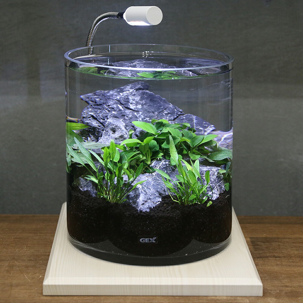 【楽天市場】（水草）GEX グラスアクア シリンダー N 水草セット グラスベース ホワイトアッシュ200 本州四国限定：charm 3980 楽天市場店
