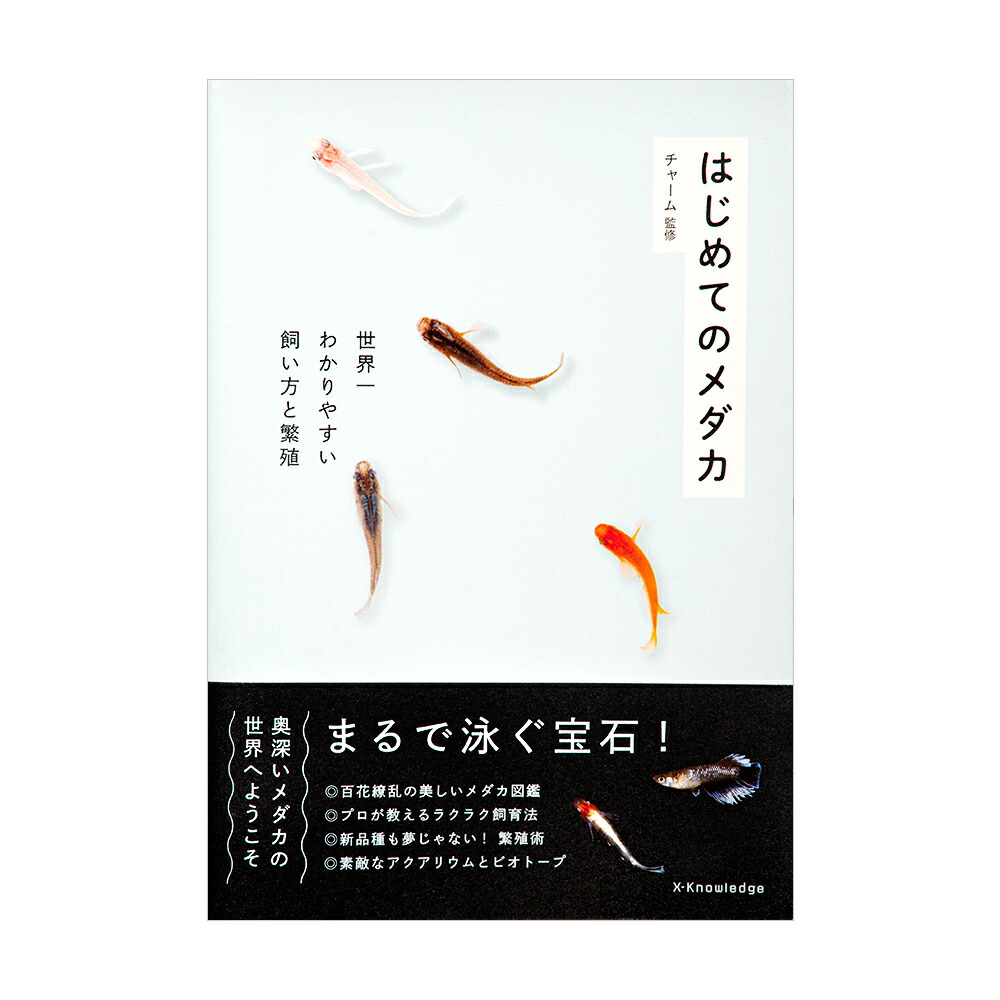 【楽天市場】チャーム監修 はじめてのメダカ 書籍 関東当日便：charm 3980 楽天市場店