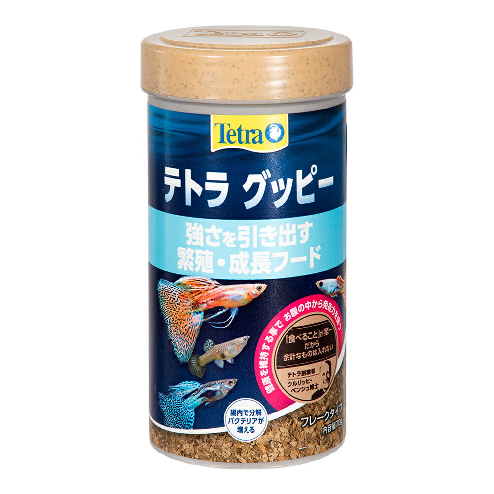 【楽天市場】テトラ グッピー 70g 関東当日便：charm 3980 楽天市場店