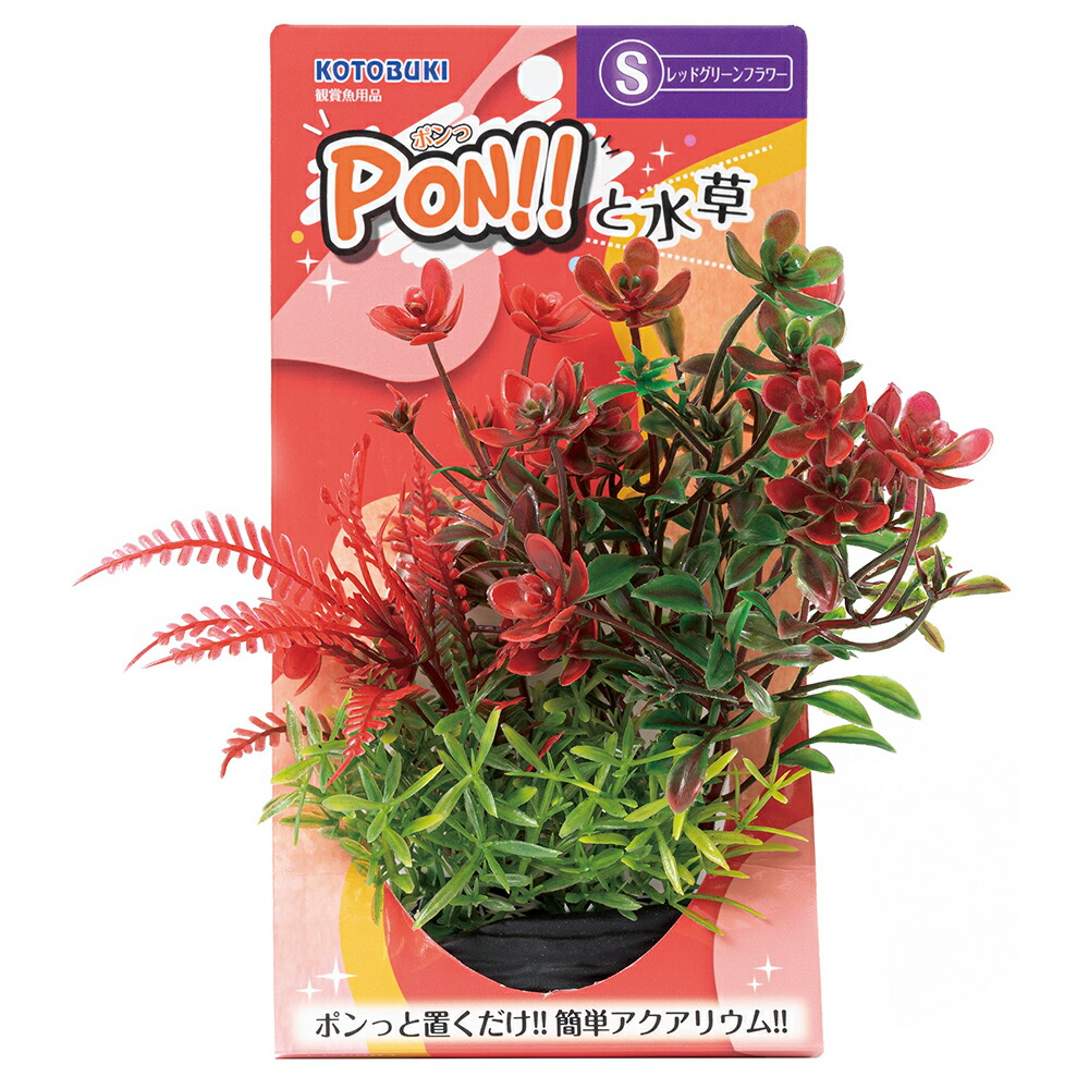 【楽天市場】コトブキ工芸 PON−S レッドグリーンフラワー 関東当日便：charm 3980 楽天市場店