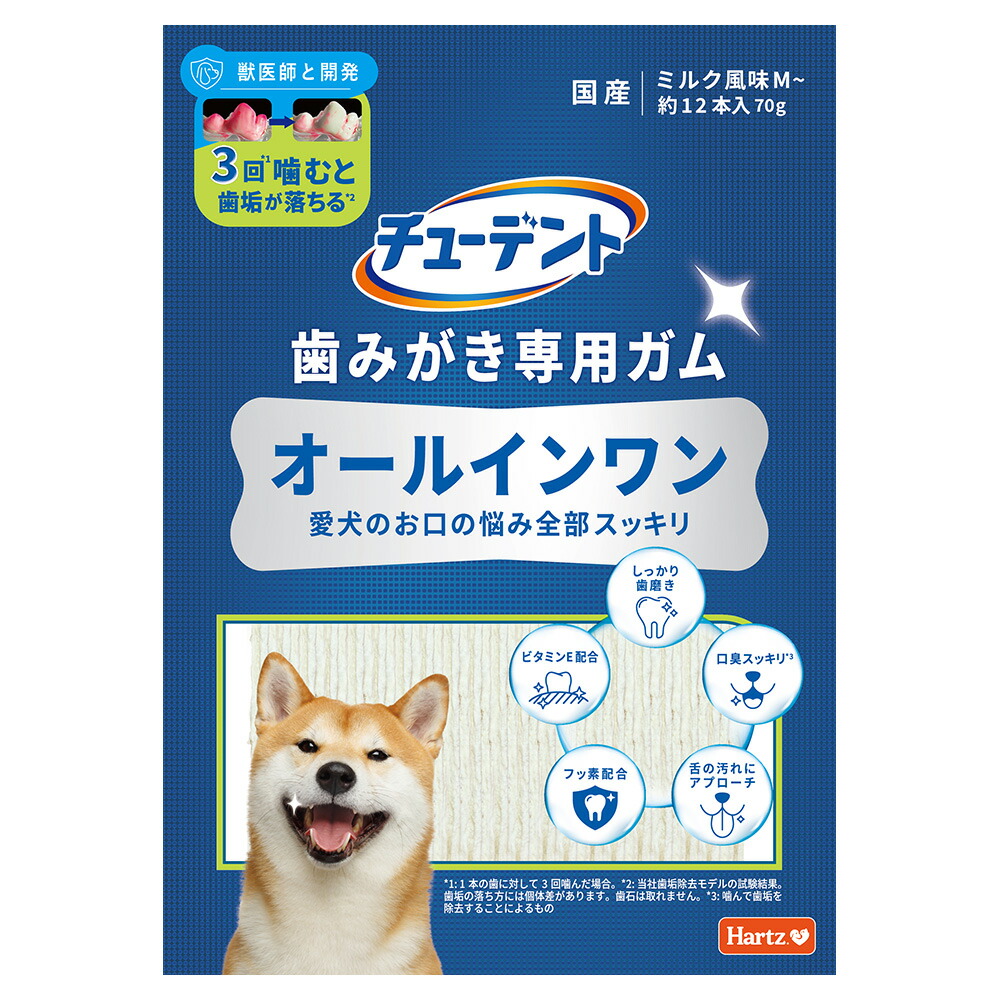 【楽天市場】チューデント 歯みがき専用ガム オールインワン M 70g 関東当日便：charm 3980 楽天市場店