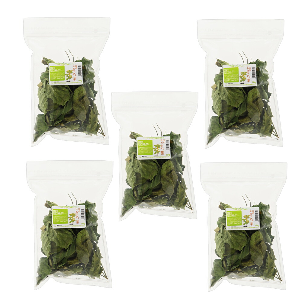 【楽天市場】5袋セット 国産 えだまめの葉 10g×5袋 関東当日便：charm 3980 楽天市場店