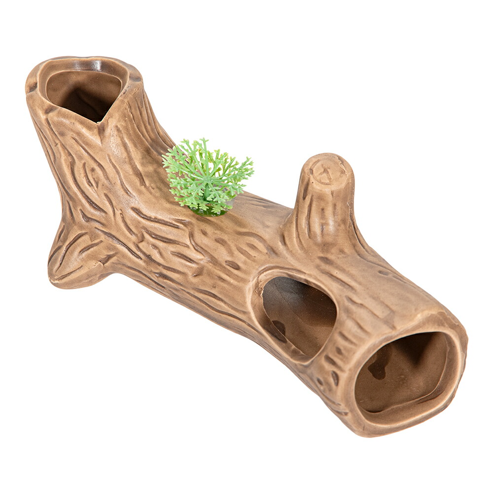 【楽天市場】JUN 新やどり木 S 関東当日便：charm 3980 楽天市場店