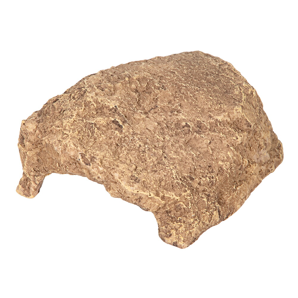 【楽天市場】JUN J．REP シェルター（ROCK−2L） 関東当日便：charm 3980 楽天市場店