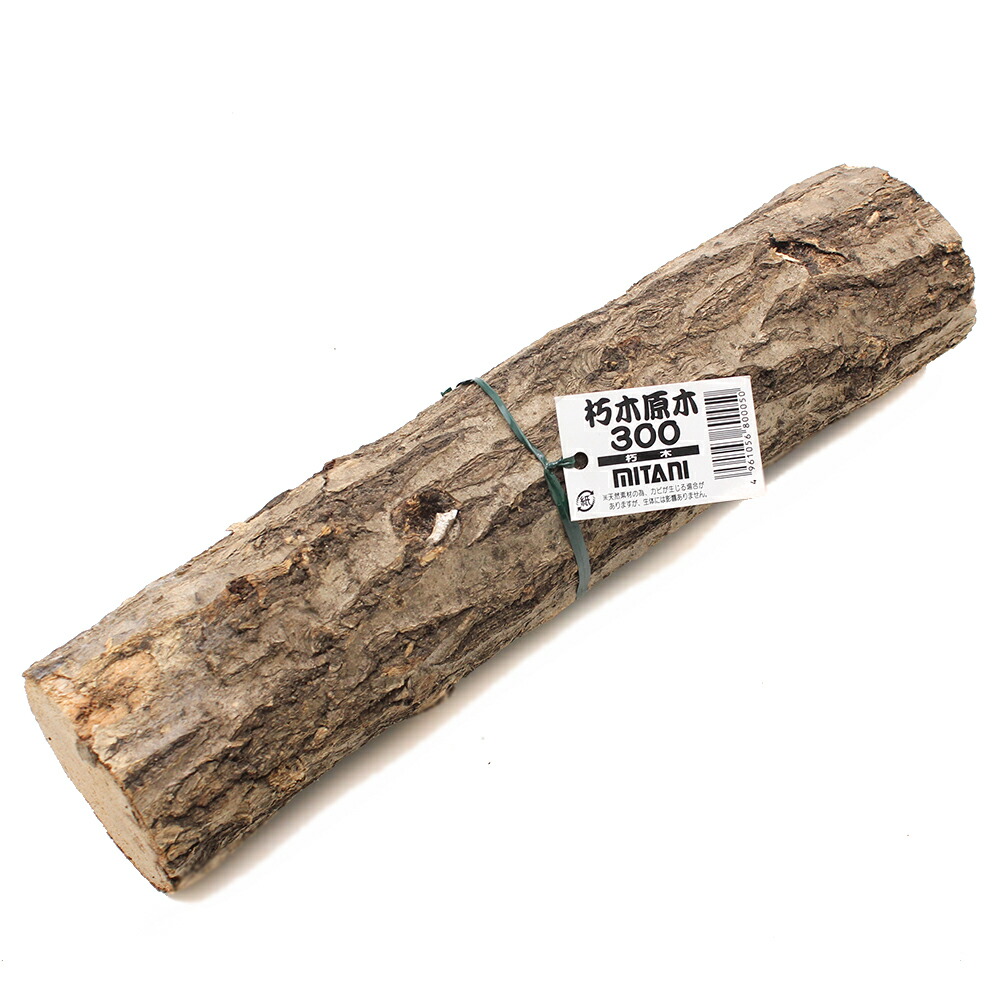 【楽天市場】ミタニ 朽木原木300 コナラ 産卵木 クワガタ 関東当日便：charm 3980 楽天市場店