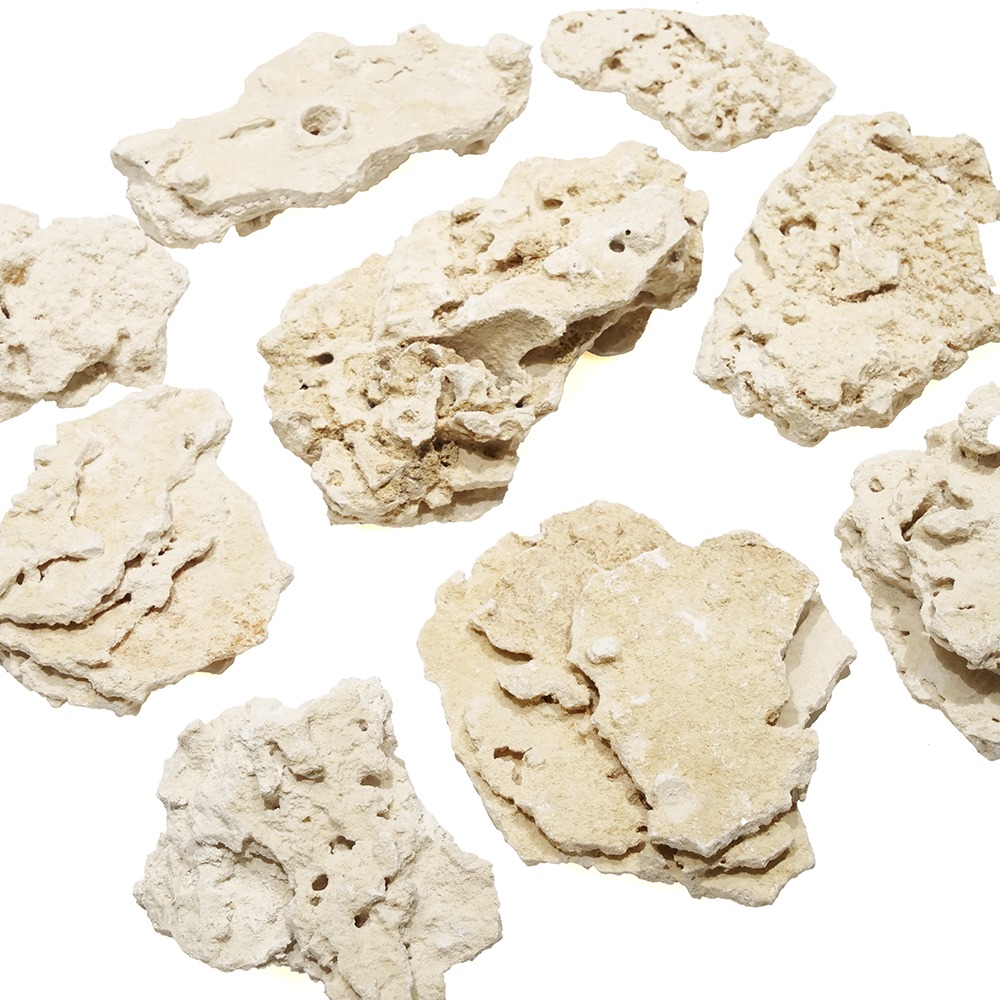 【楽天市場】マルコロック シェルフ S～MサイズMIX 10kg 関東当日便：charm 3980 楽天市場店