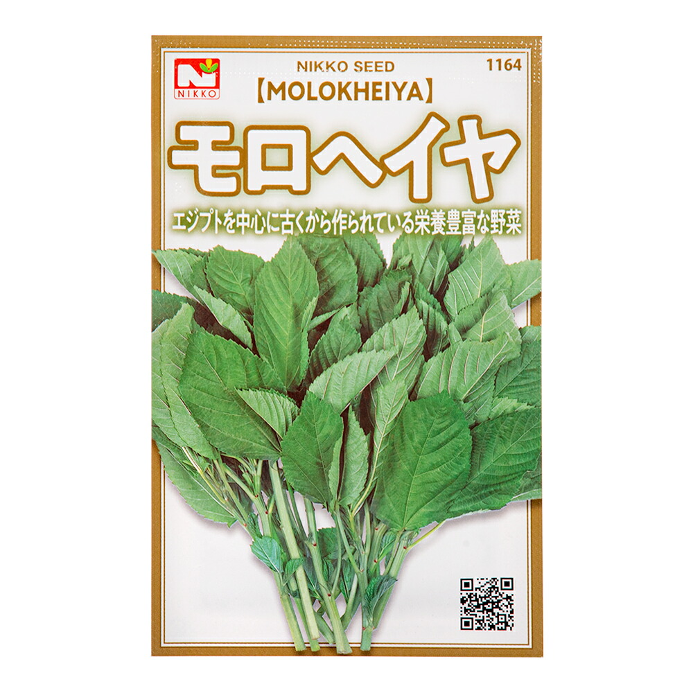 【楽天市場】野菜の種 モロヘイヤ 品番：1164 家庭菜園 関東当日便：charm 3980 楽天市場店