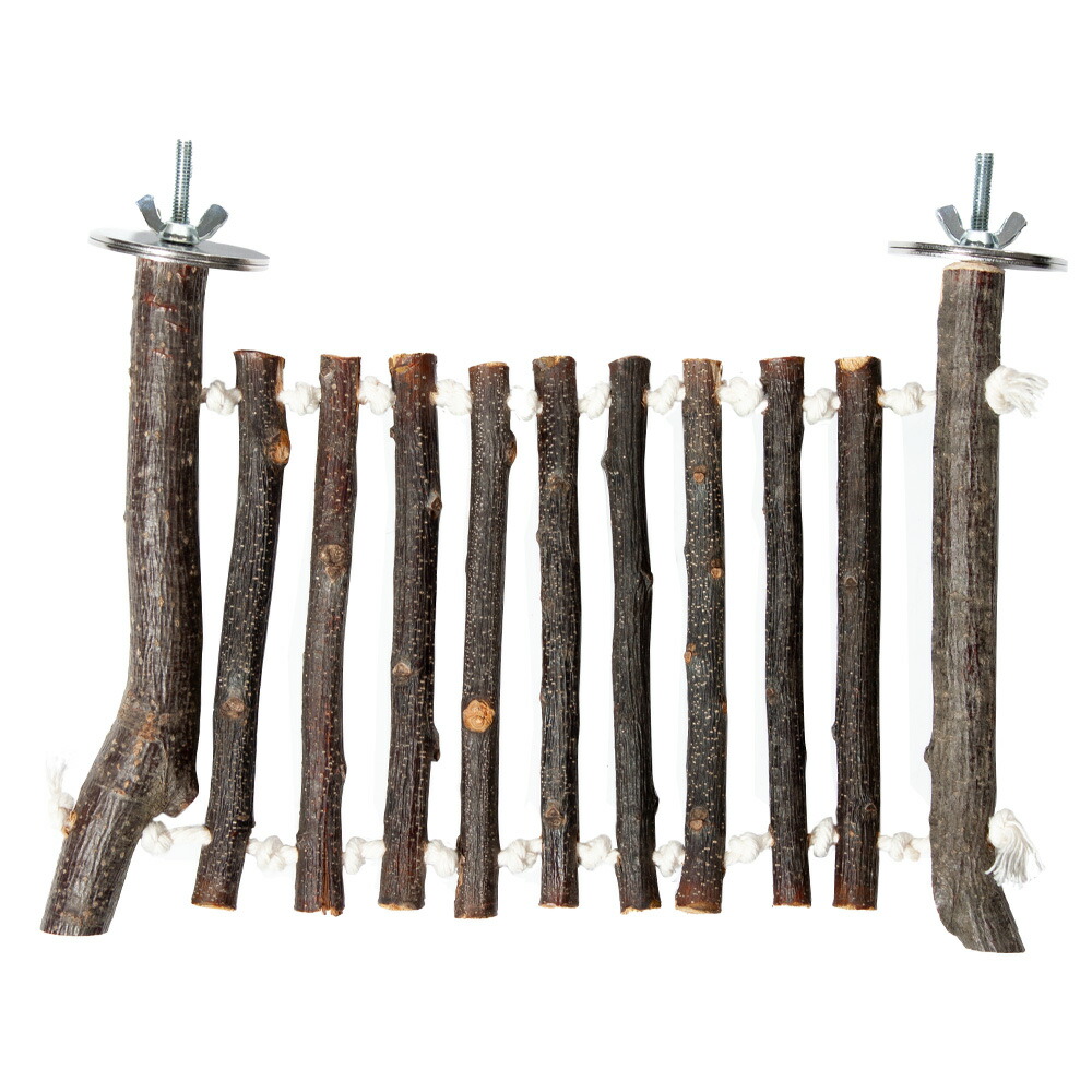 【楽天市場】小鳥用 くりの木パーチのはしご 関東当日便：charm 3980 楽天市場店