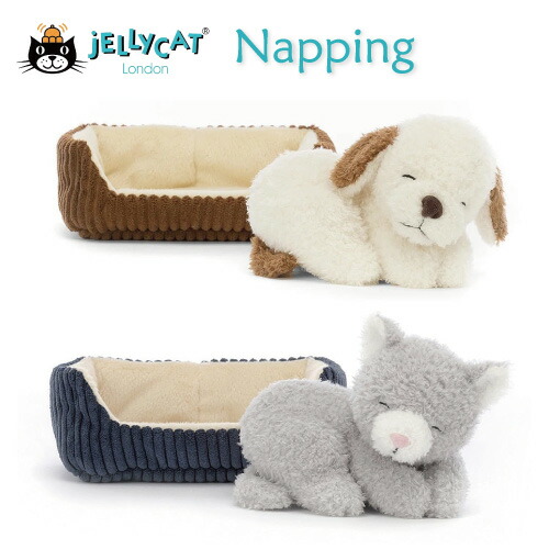 【楽天市場】ジェリーキャット Napping Nipper Cat Dog 【ファーストトイ ぬいぐるみ】 ナッピング ニッパーキャット ...