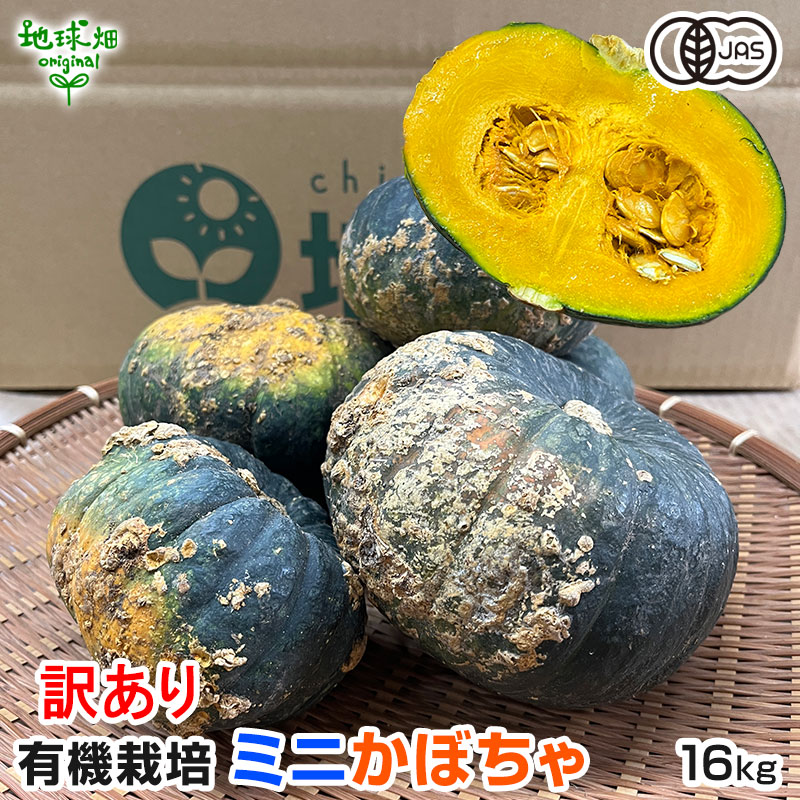 【楽天市場】【訳あり】有機ミニかぼちゃ 16kg ミニ南瓜 小玉南瓜 有機栽培 鹿児島県産 B品 わけあり 規格外 フードロス アウトレット ...