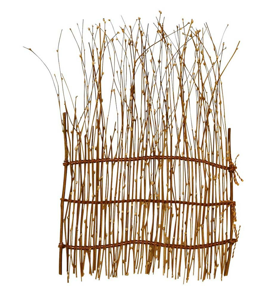 【楽天市場】【ポイント20倍】萩すだれ 大 160×220 51-400 [萬洋] すだれEBM vol.24[1801-20]料理演出用品：厨房の達人