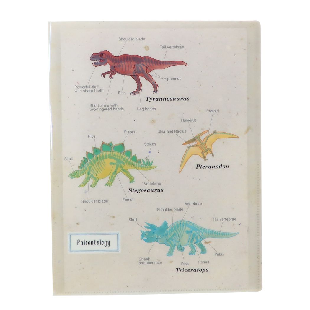 【楽天市場】STUDY HOLIC ポケットファイル A4クリアブックファイル 古生物学 恐竜 Green Flash 新学期準備文具 おもしろ雑貨 グッズ シネマコレクション：キャラクターの ...
