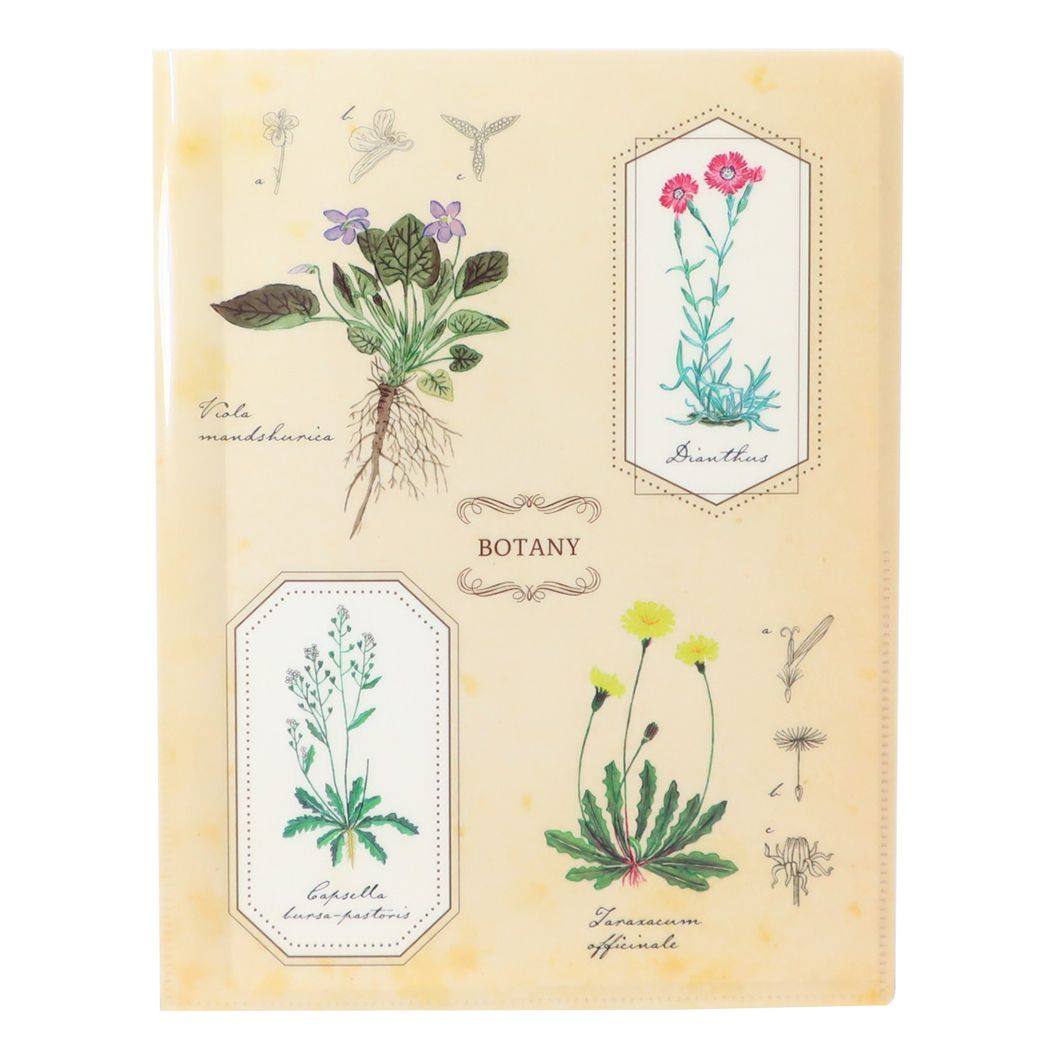 【楽天市場】STUDY HOLIC ポケットファイル A4クリアブックファイル 植物学 Green Flash 新学期準備文具 おもしろ雑貨 グッズ シネマコレクション：キャラクターのシネマ ...