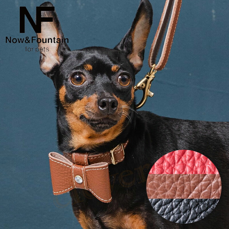 【楽天市場】Now&Fountain 首輪 Mサイズ ナチュラルスキン ナチュラルスキン トイプードル ミニチュアダックスフンド ミニチュア ...