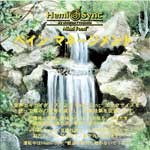 【楽天市場】【完売】ヘミシンクCD ペイン・マネージメント （日本語版) 【正規品】 ※ 音楽療法CD Hemi-Sync モンロープロダクツ 【クーポン対象】【39ショップ ...