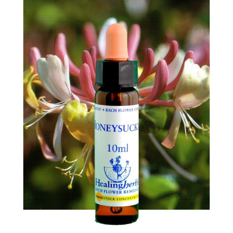 【楽天市場】ヒーリングハーブス フラワーエッセンス 13 ハニーサックル【カリス成城】：カリス成城＠ここちeくらしShop