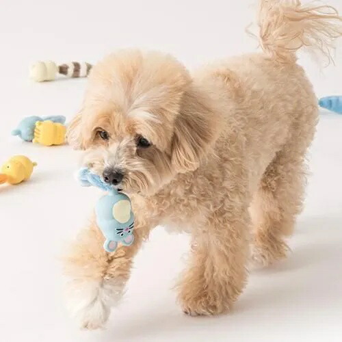 【楽天市場】【BITE ME】バイトミー テイルズラテックスおもちゃ（チンチラ・タヌキ・リス）：緑のある犬猫美容室ココットベール