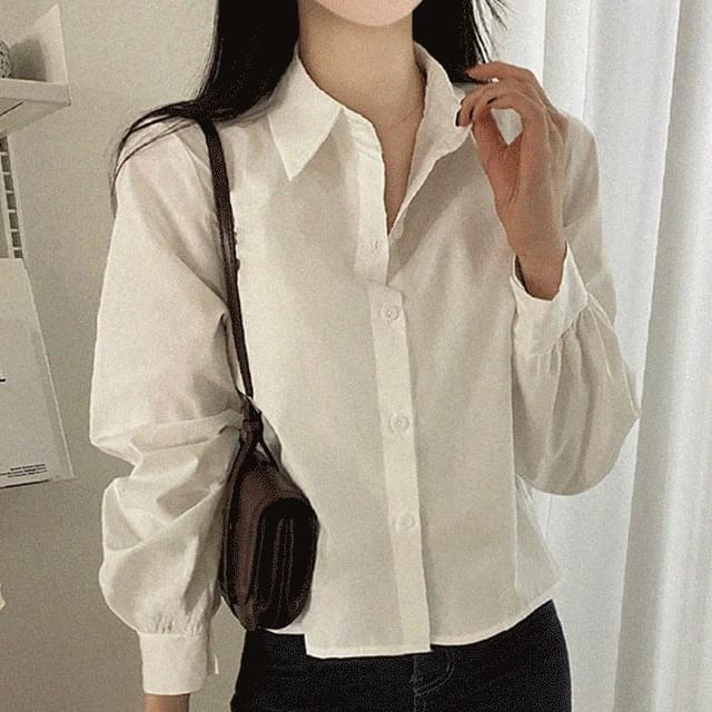 【楽天市場】後ろ姿が魅力のプリーツクロップシャツブラウス2color ブラウス レディース｜韓国 peelrang｜コーディブック：CODIBOOK