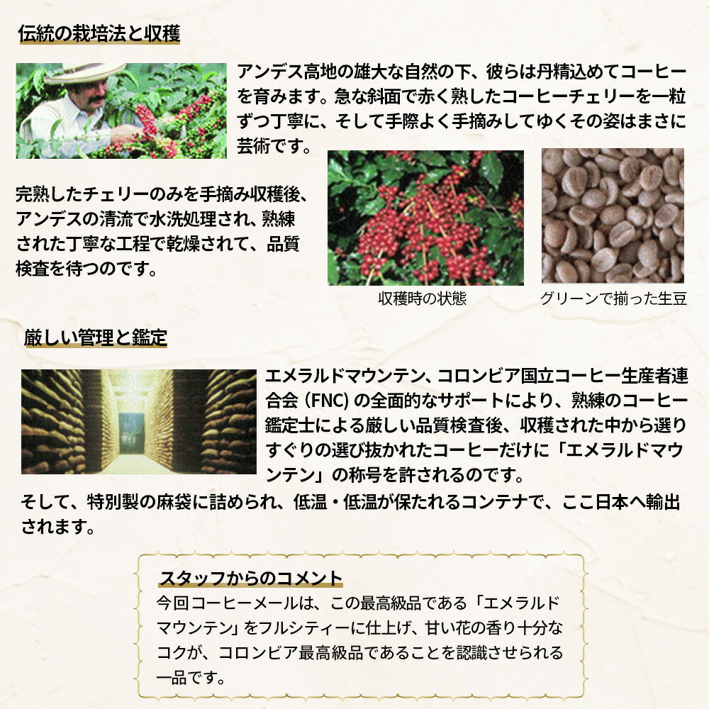 【楽天市場】【生豆】エメラルドマウンテン (1kg) / コーヒーメール：煎りたて・小袋包装コーヒーメール