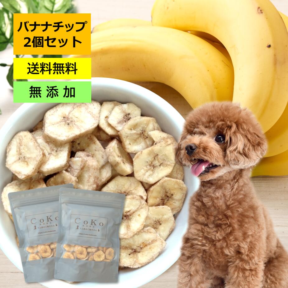 【楽天市場】犬 おやつ バナナ ばなな 無添加 犬おやつ 無添加バナナ CoKoオリジナル 犬用おやつ バナナチップ 100g×2個セット 犬 ...