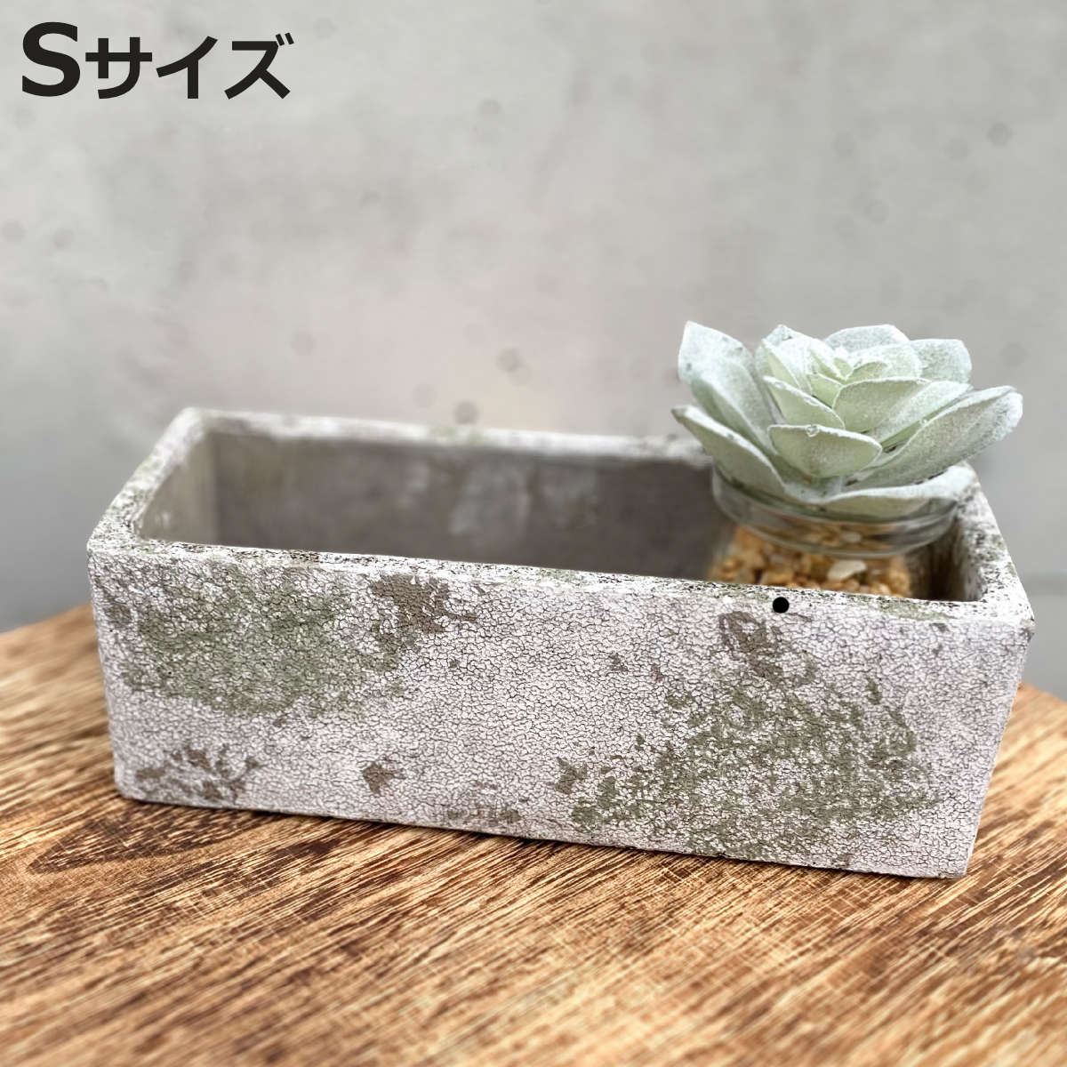 【楽天市場】植木鉢 モスティーク レクトポット S 幅20cm （ プラントポット プランターポット 鉢 鉢植え セメント ポット 穴あり ...