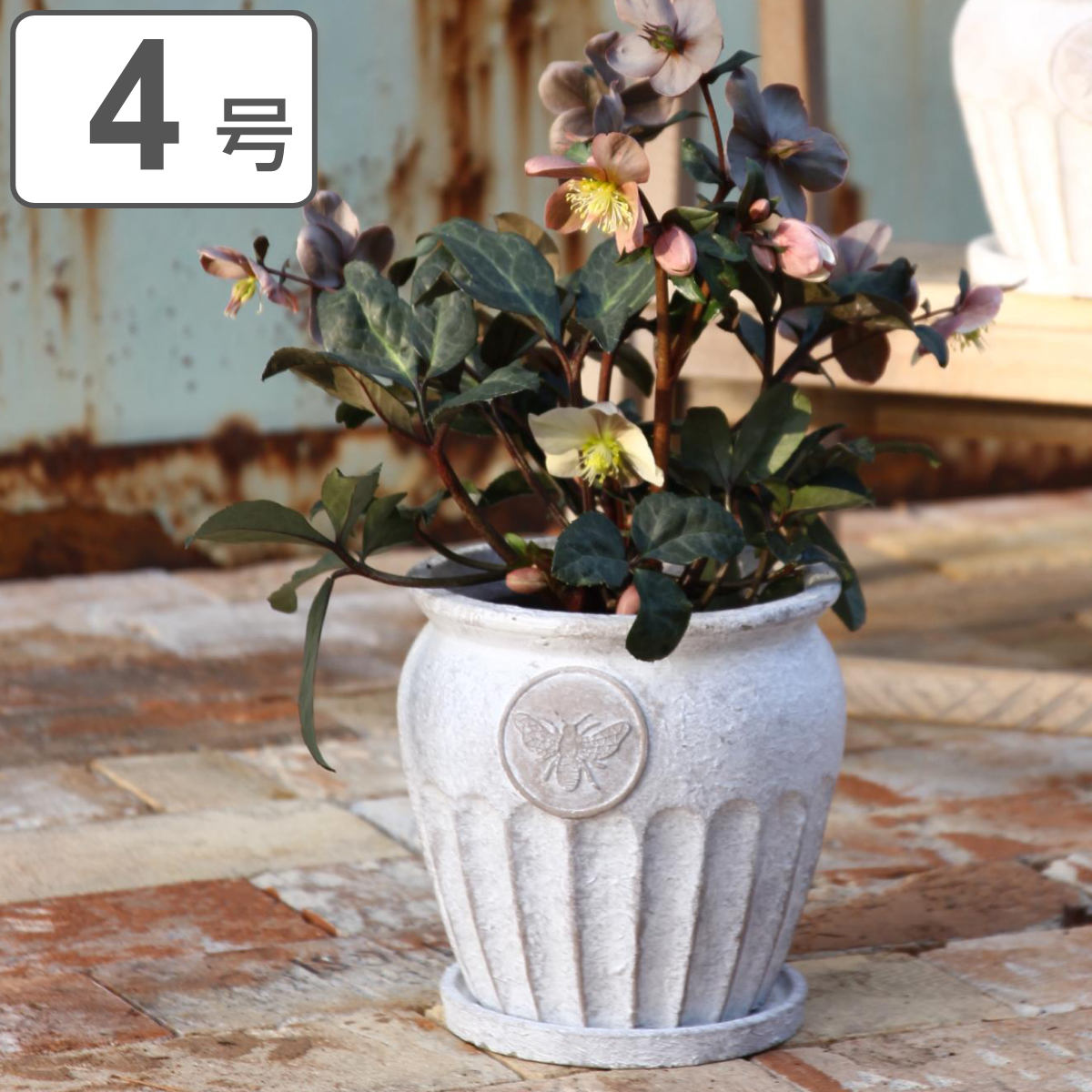 【楽天市場】植木鉢 HONEYBEE プランター Mサイズ （ プラントポット 植物用ポット 鉢 花器 鉢カバー ポット セメント 4号鉢 丸 ...