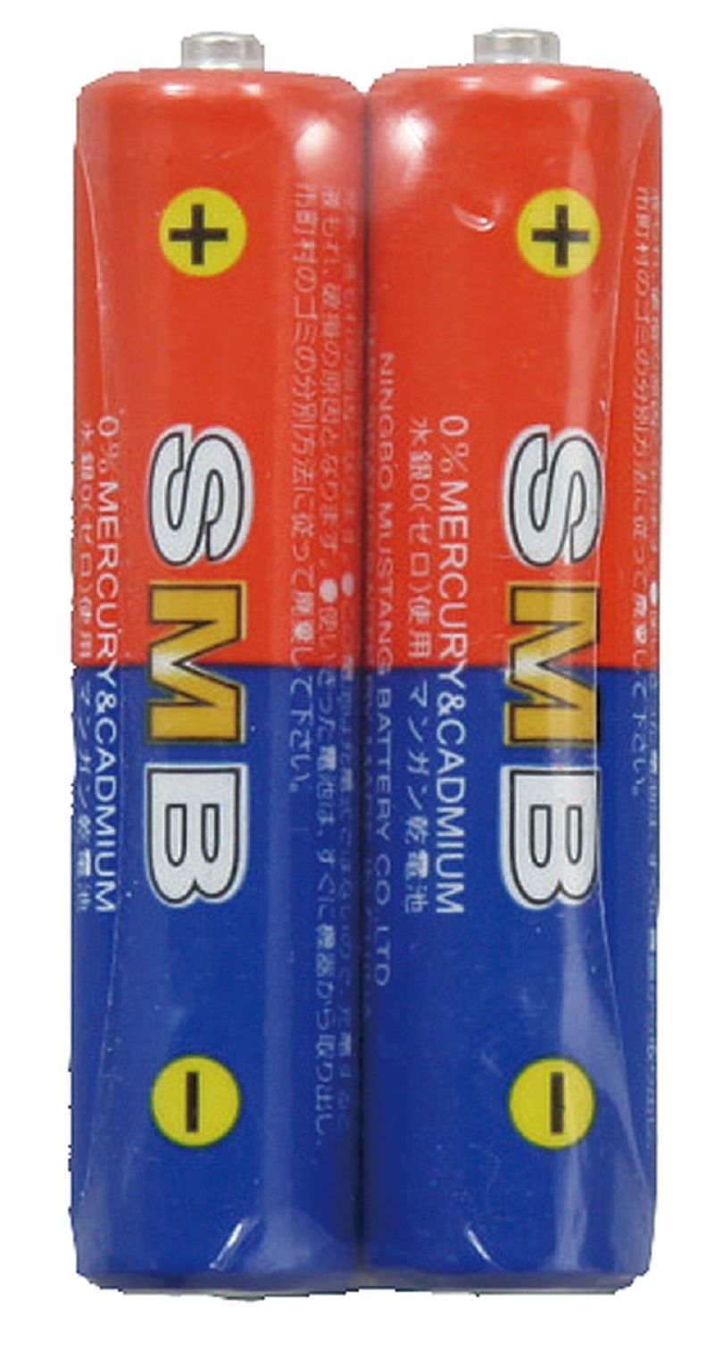 【楽天市場】理科教材電池 単4 2本組 理科教材 理科教材 備品：美容コスメ雑貨 CONNECT