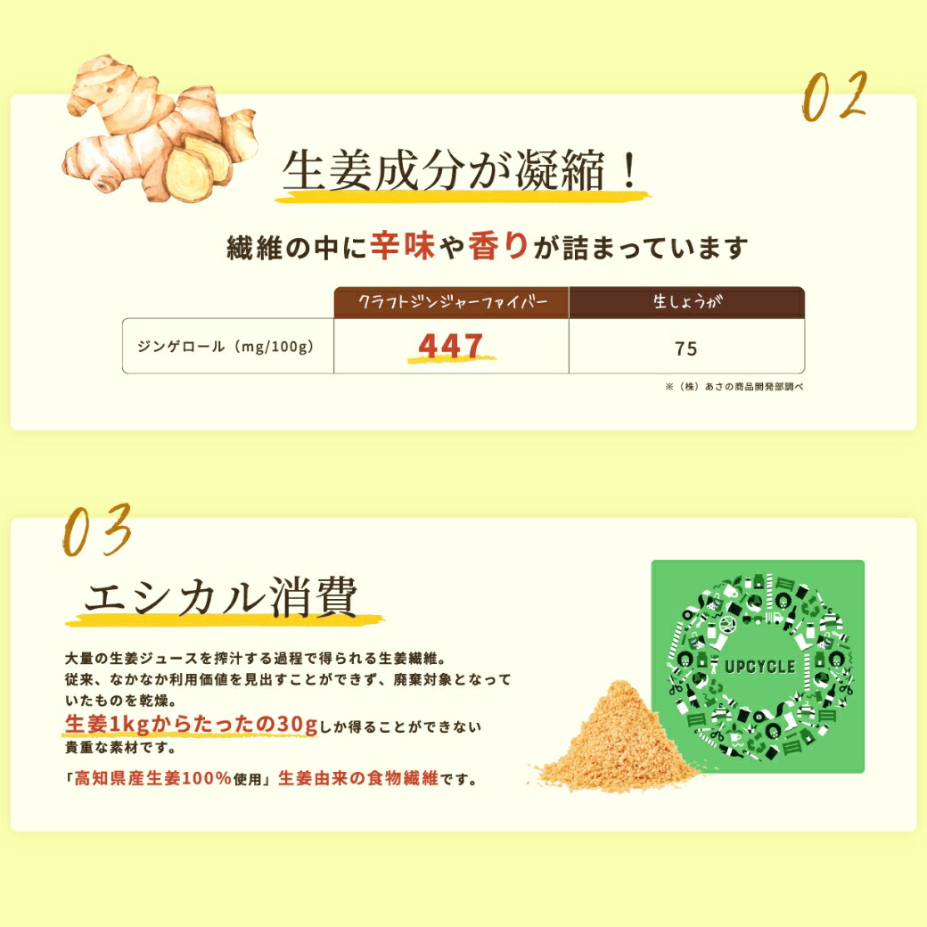 【1000円ポッキリ】 Craft Ginger Fiber 25g 送料無料 食物繊維 ファイバー クラフトジンジャー 高知県産 生姜 無 ...