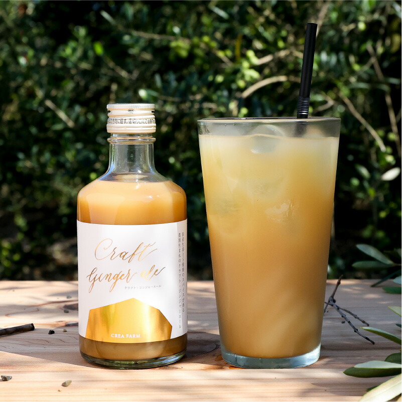【楽天市場】Craft Ginger ale クラフト ジンジャーエール 300ml（4倍希釈用） 生姜 ショウガ シロップ 原液 炭酸 ...