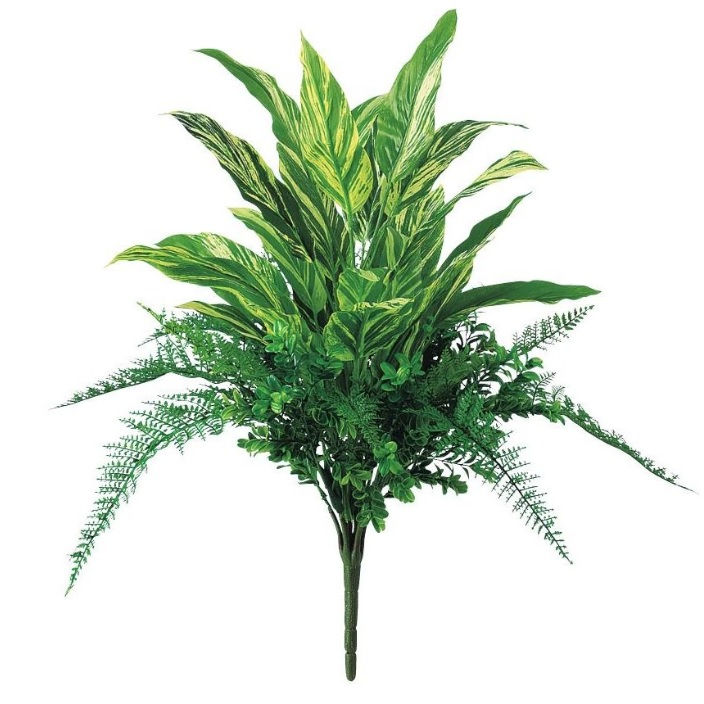 【楽天市場】人工観葉植物 コルディリネ MIX ブッシュ 長さ50cm （P139-91683) （代引き不可） インテリアグリーン フェイク ...