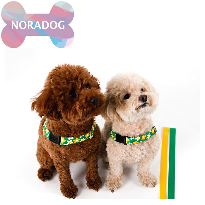 【楽天市場】NORADOG ノラドッグ PICNIC/ピクニック カラーS~M 犬 首輪 小型犬 中型犬 おしゃれ かわいい：CTワゴンジャパン