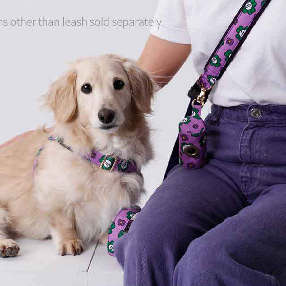 【楽天市場】NORADOG ノラドッグ Mr.Clover/Mr.クローバー ベルトリードライン 中・大型犬(パープルorグリーン)7kg以上 ハーネス リード 犬具 散歩 お出かけ 簡単装着 ...