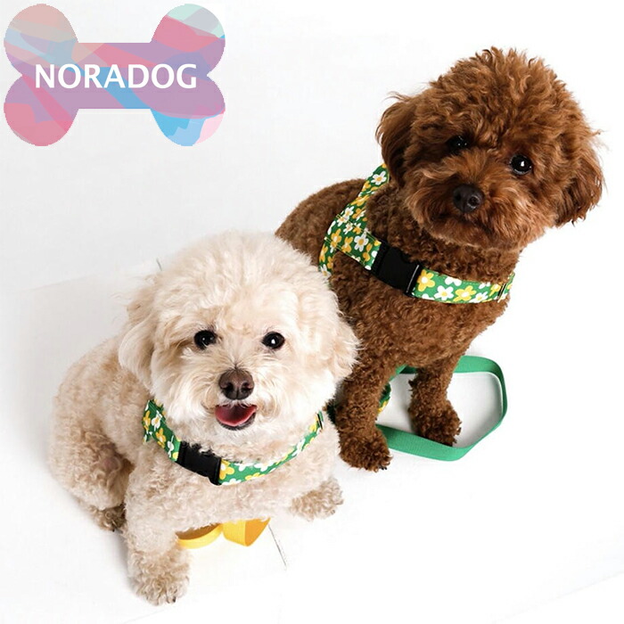 【楽天市場】NORADOG 新作ピクニックベースリードライン(グリーンorイエロー)7kg以下：CROTECWAGON