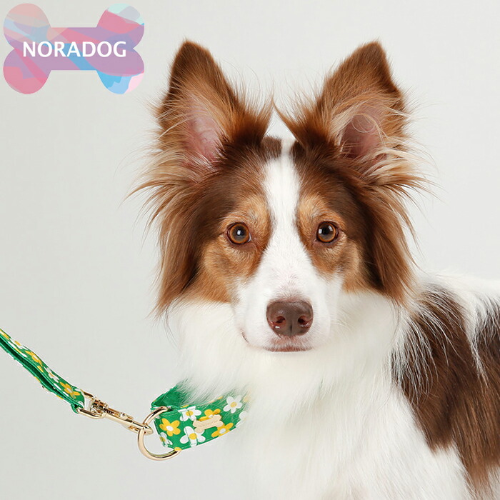 【楽天市場】ノラドッグ PICNIC/ピクニック マーチンゲールカラー ハーフチョーク カラー M~XL 犬 首輪 小型犬 中型犬 おしゃれ かわいい：CROTECWAGON