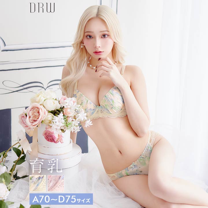 【楽天市場】【クーポンで最大20％off】 即日発送 Drw育乳ブラジャー 脇高ブラジャー ショーツ セット 補正下着 フェアリー フルール