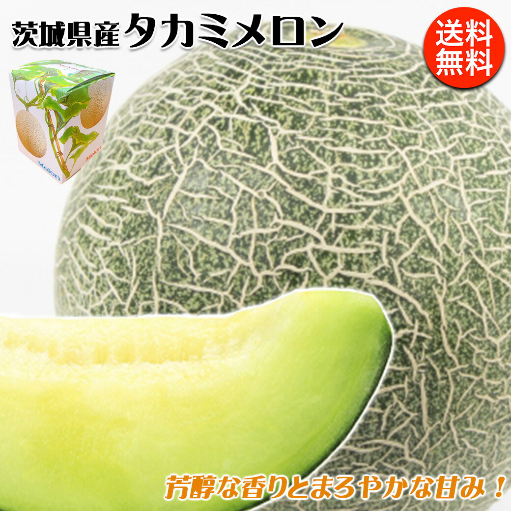 【楽天市場】メロン 贈答用 1玉入 父の日 送料無料 茨城県産 タカミ メロン 化粧箱 1玉入 約1.2kg たかみめろん たかみメロン 貴味 ...