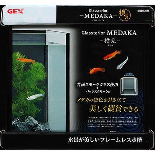 【楽天市場】グラステリア メダカ 横見 GEX：DCMオンライン