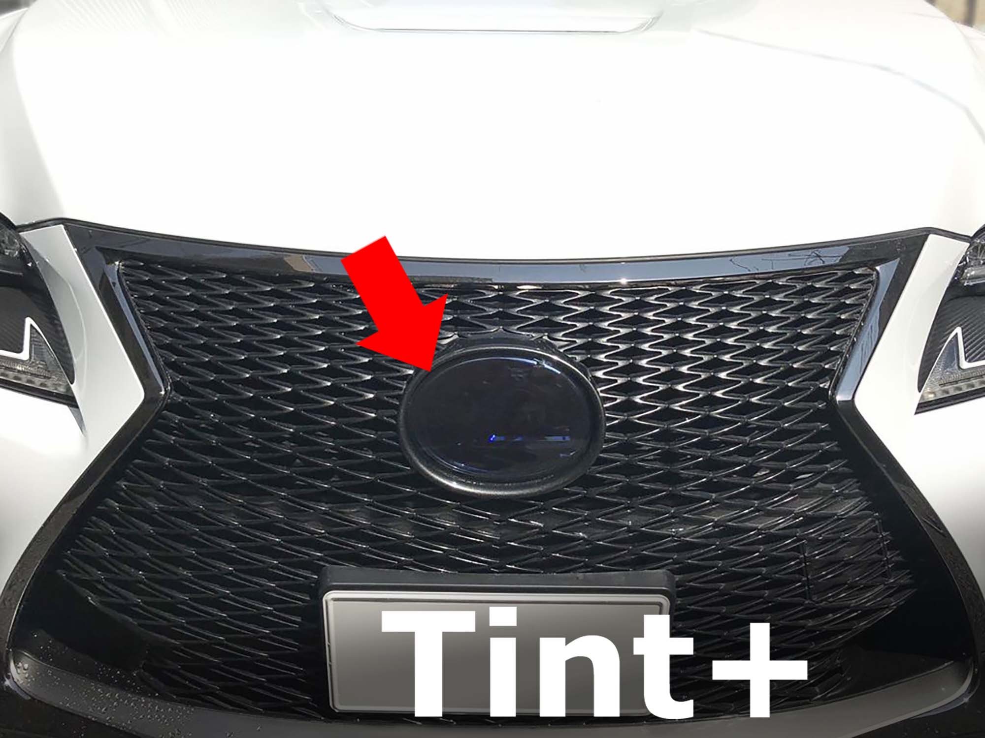 【楽天市場】Tint+ エンブレム スモークフィルム (スモーク 20％) レクサス RC-F USC10：DCP STORE 楽天市場店