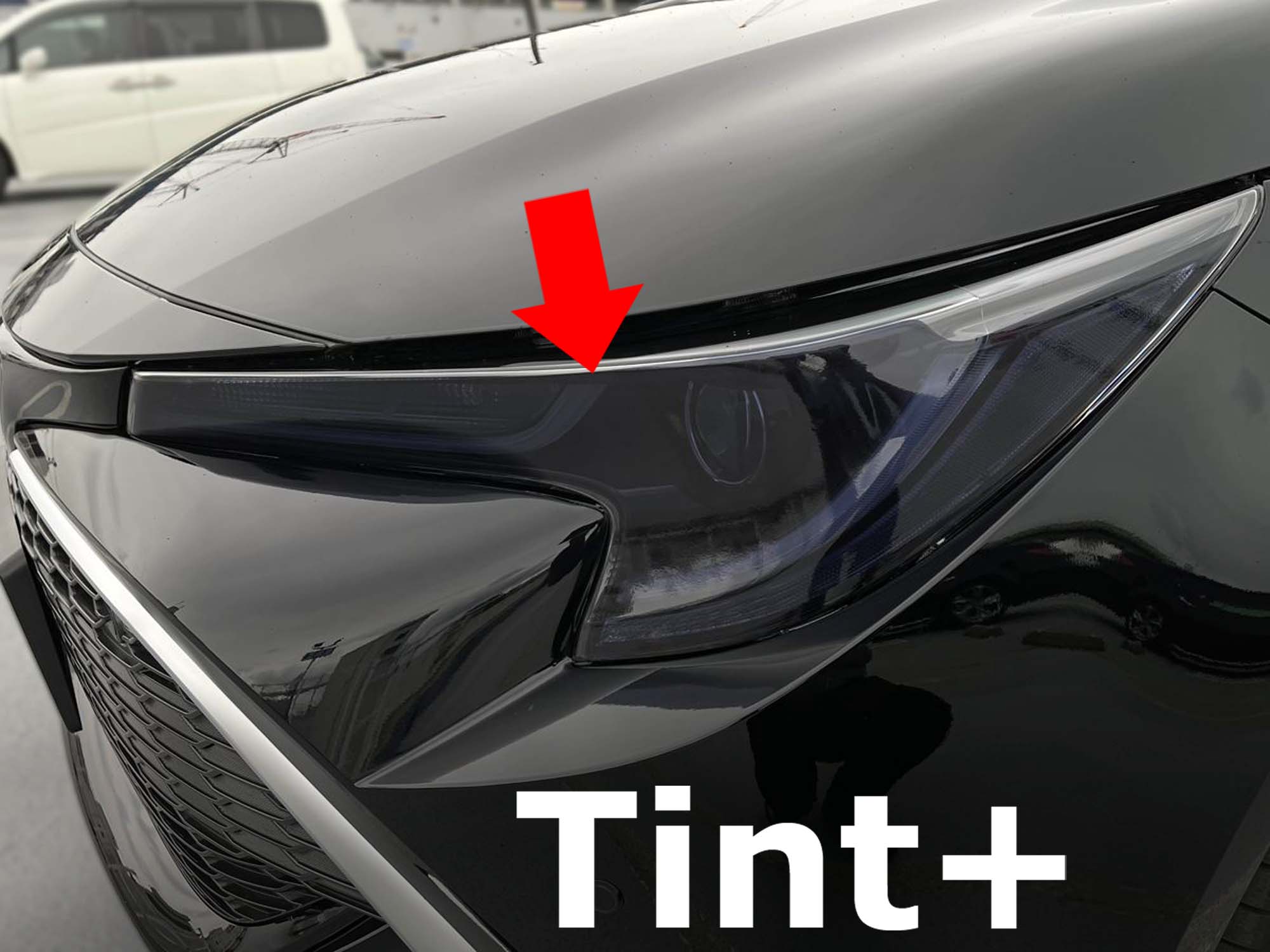 【楽天市場】Tint+ ヘッドライト スモークフィルム 前期 カローラスポーツ NRE210H NRE214H ZWE211H ZWE213H ...