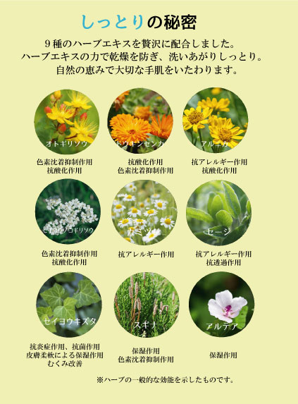 【楽天市場】【送料無料】イワタニ アララ 食器用洗剤 キッチンハーブ 2.2kg+300ml AKH-22SET-90 9種のハーブエキス配合：デンキデポ プロセレクト