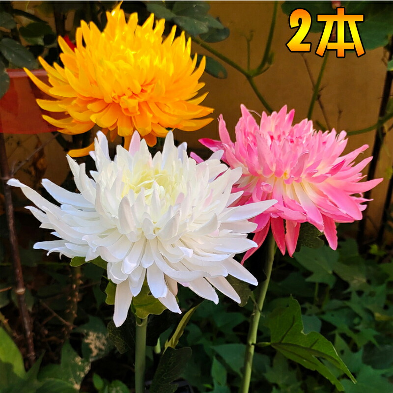 【楽天市場】ソーラーライト 花 おしゃれ 屋外 埋め込み式 防水 暖色系 LED ガーデン 夜間自動点灯 太陽光発電 常夜灯 芝生ランプ 玄関 階段 足元 駐車場 道 芝生 園芸：FINTRUE