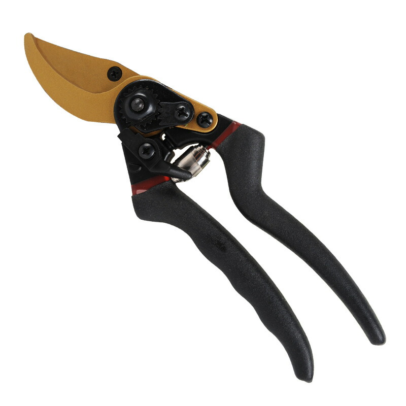 【楽天市場】\期間限定★ポイント10倍／剪定ばさみ 2段階調節可能 サクサク切れる 握りやすい せんていばさみ フッ素コーティング 剪定鋏 えだきりばさみ：FINTRUE