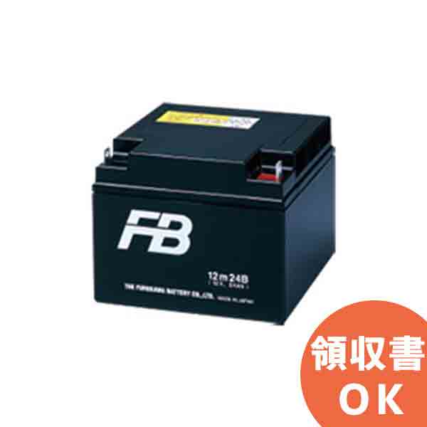 【楽天市場】【受注品】12M38B 古河電池製 小型制御弁 鉛蓄電池 mシリーズ │ 古河電池 古河 鉛蓄電池 ＜代引不可＞＜メーカー直送品 ...