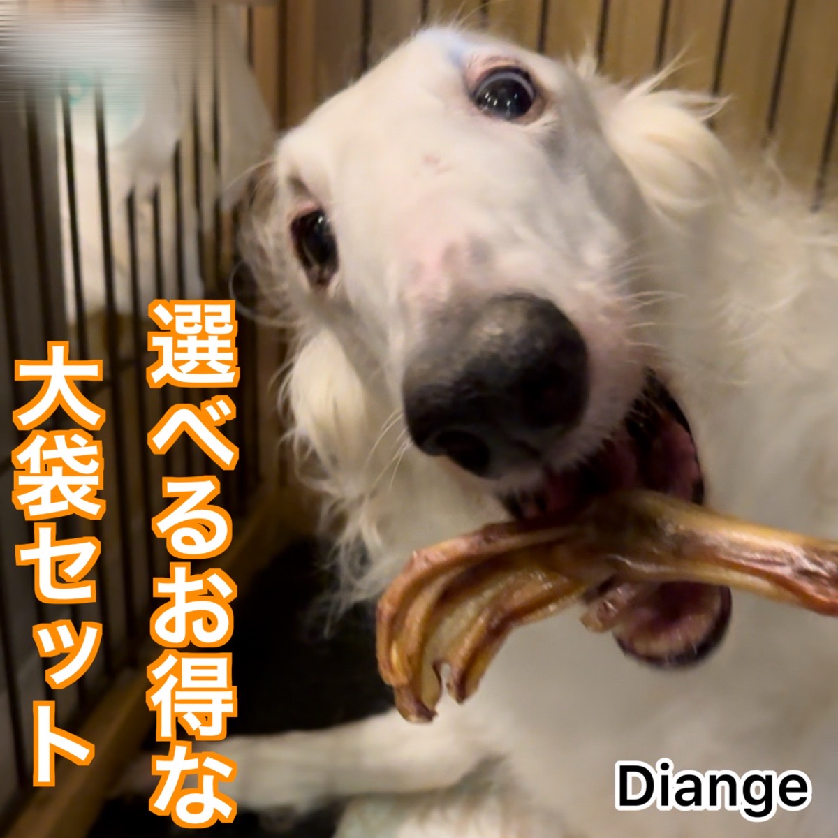 【楽天市場】【大容量】【送料無料】ゴッソリ入った大袋を5袋セットで！！犬用 国産 無添加 おやつ安心 犬餌 大袋：首輪とおやつの専門店Diange