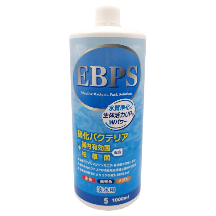 【楽天市場】【3980円以上で送料無料】ソネケミファ EBPS 淡水用 1000ml 硝化バクテリア 枯草菌 腸内有効菌 コケ 水質浄化 金魚 熱帯魚 メダカ：株式会社ディスカウントアクア