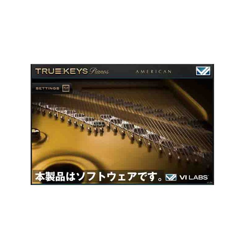 【楽天市場】VI Labs True Keys : American Grand(オンライン納品) (代引不可) DTM ソフトウェア音源：DJ機材専門店PowerDJ’s