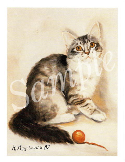 【楽天市場】在庫限り グリーティングカード Ruth【Cat Grey and White】輸入雑貨 猫雑貨 ねこグッズ：犬雑貨専門店 銀屋