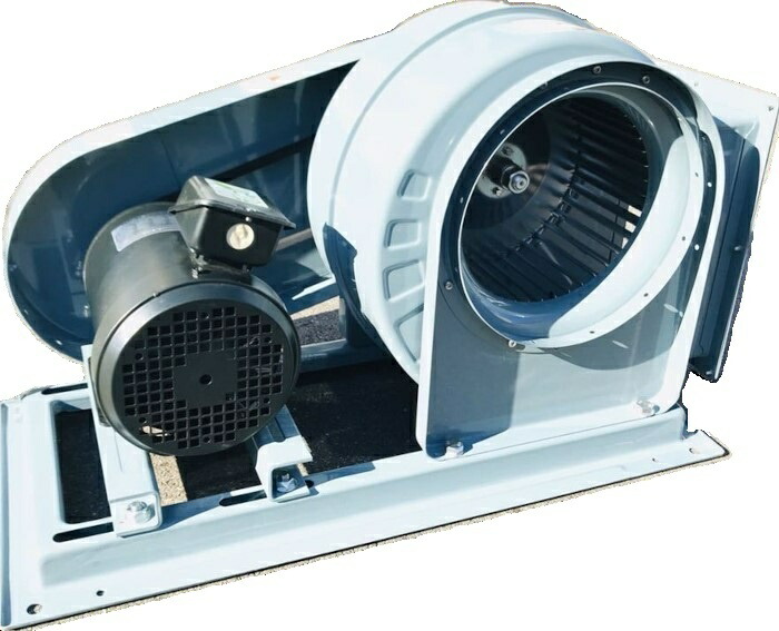 【楽天市場】EBARA 送風機 SRM4型 ベルト駆動式 11/2SRM4 60Hz：e-Spares 楽天市場店