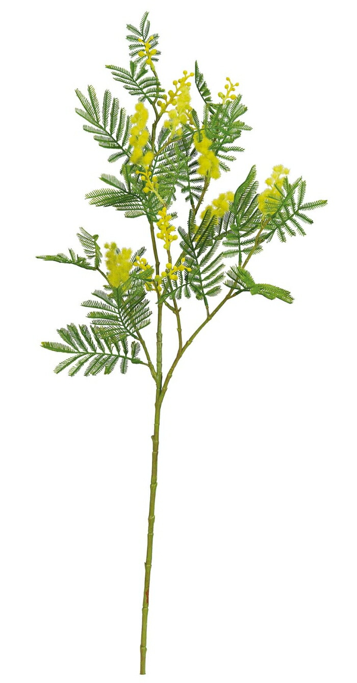 【楽天市場】アスカ商会(Asca) 【2023新商品】A?34480 ミモザ #010 イエロ- (72-34480-10)：ECJOY！楽天市場店